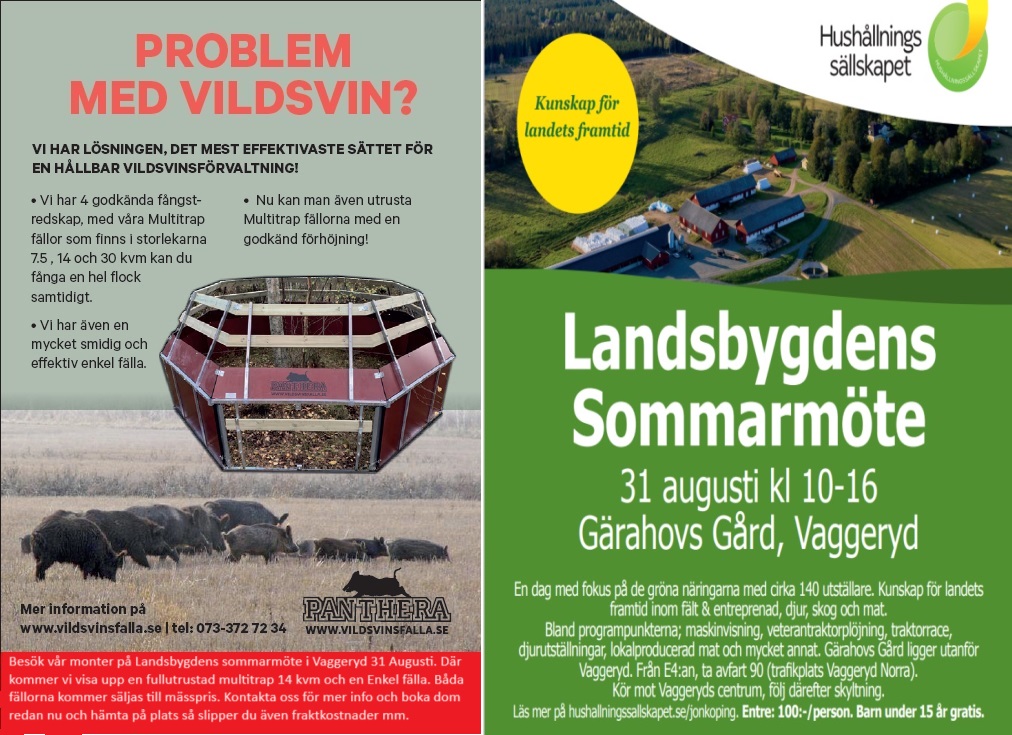 vildsvinsfälla enkel och vildsvinsfälla multitrap , två smarta ...