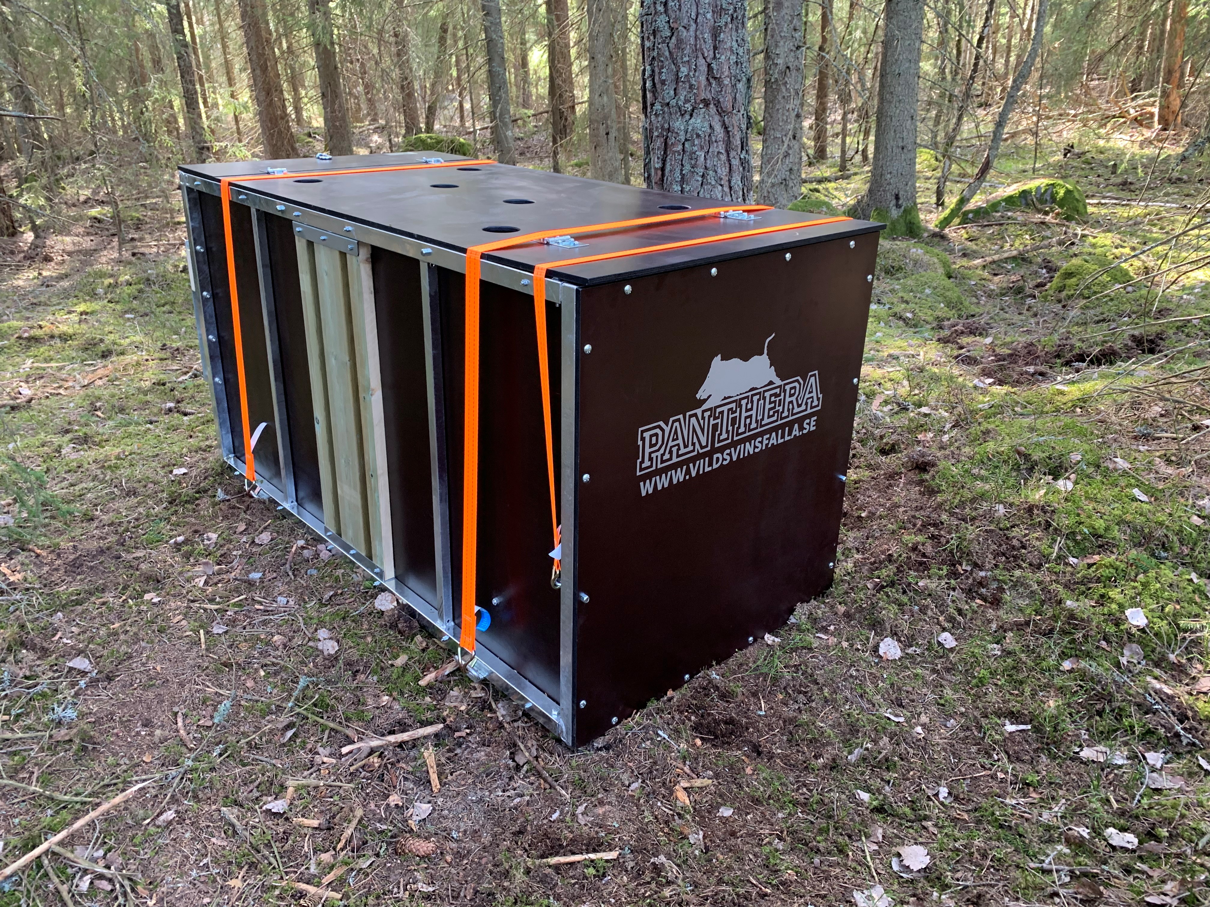 vildsvinsfälla enkel och vildsvinsfälla multitrap , två smarta ...